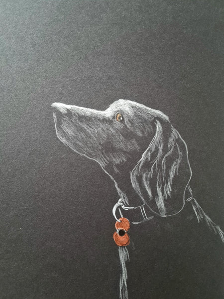 U677 Original Polychromo - 'Poppy dog #55 – Remembrance Art