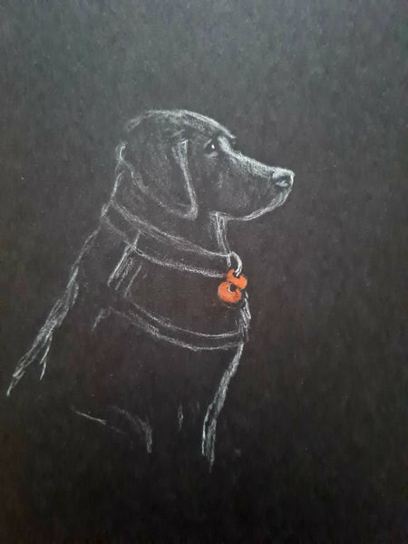 U620 Original Polychromo - 'Poppy dog #30 – Remembrance Art