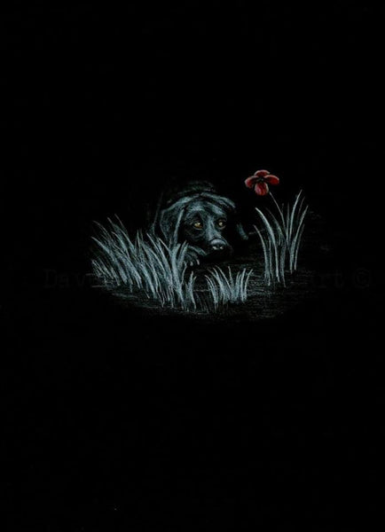 299 Open Edition Giclée Print - 'Poppy Dog #19' – Remembrance Art